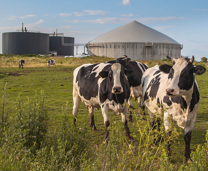 Biomethane | Future of Gas | SGN